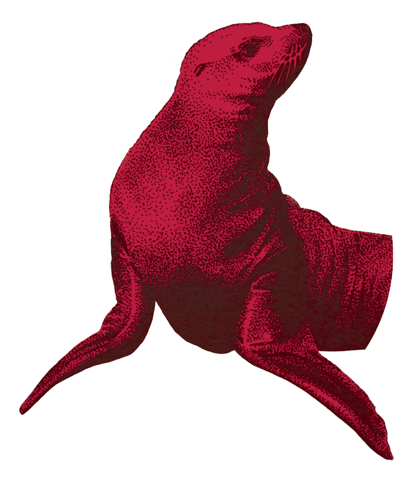 Red Seal Ale | North Coast Brewing Co.